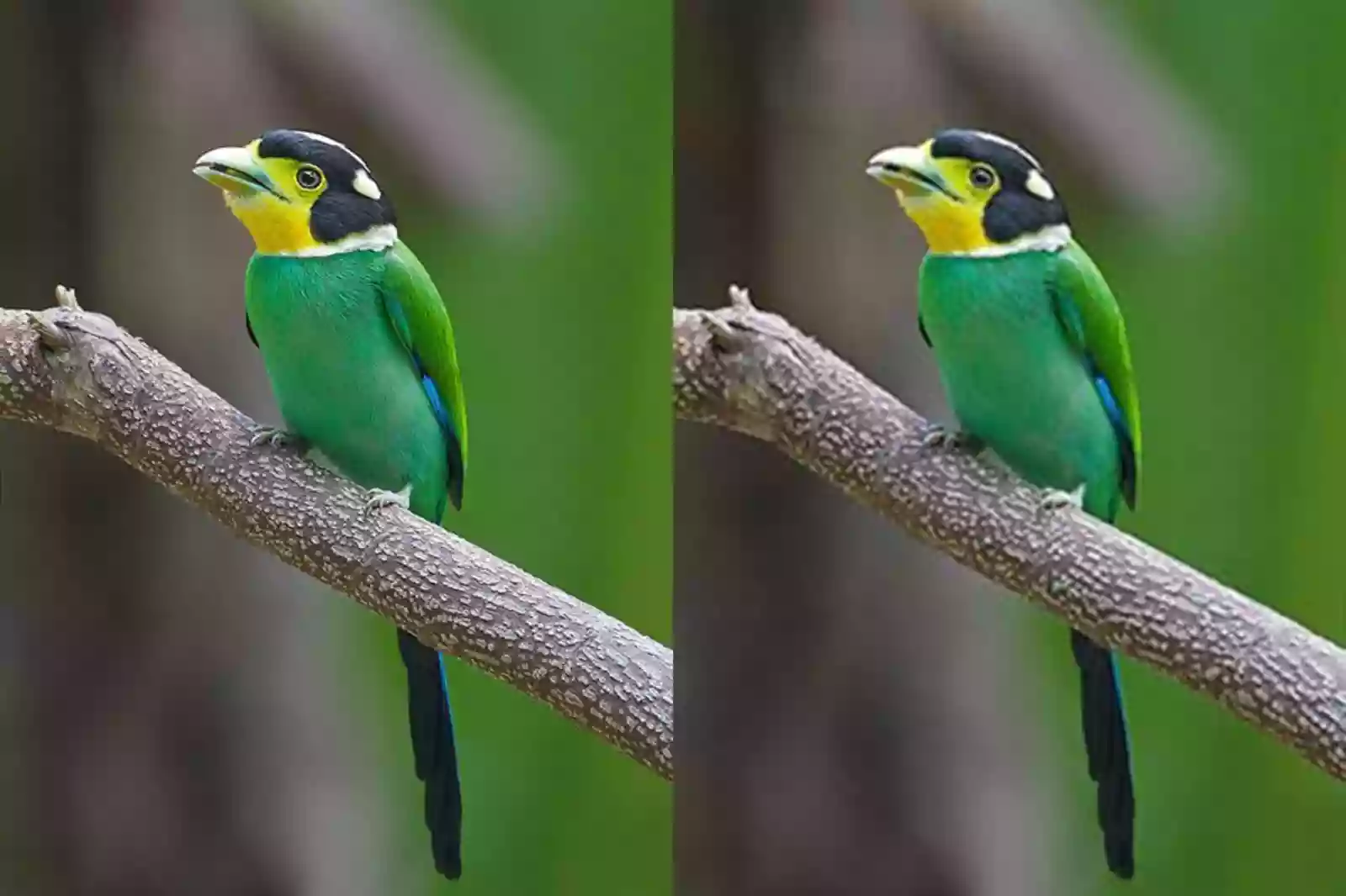 Compress Image to 1MB - Best Image Compressor Online Steps